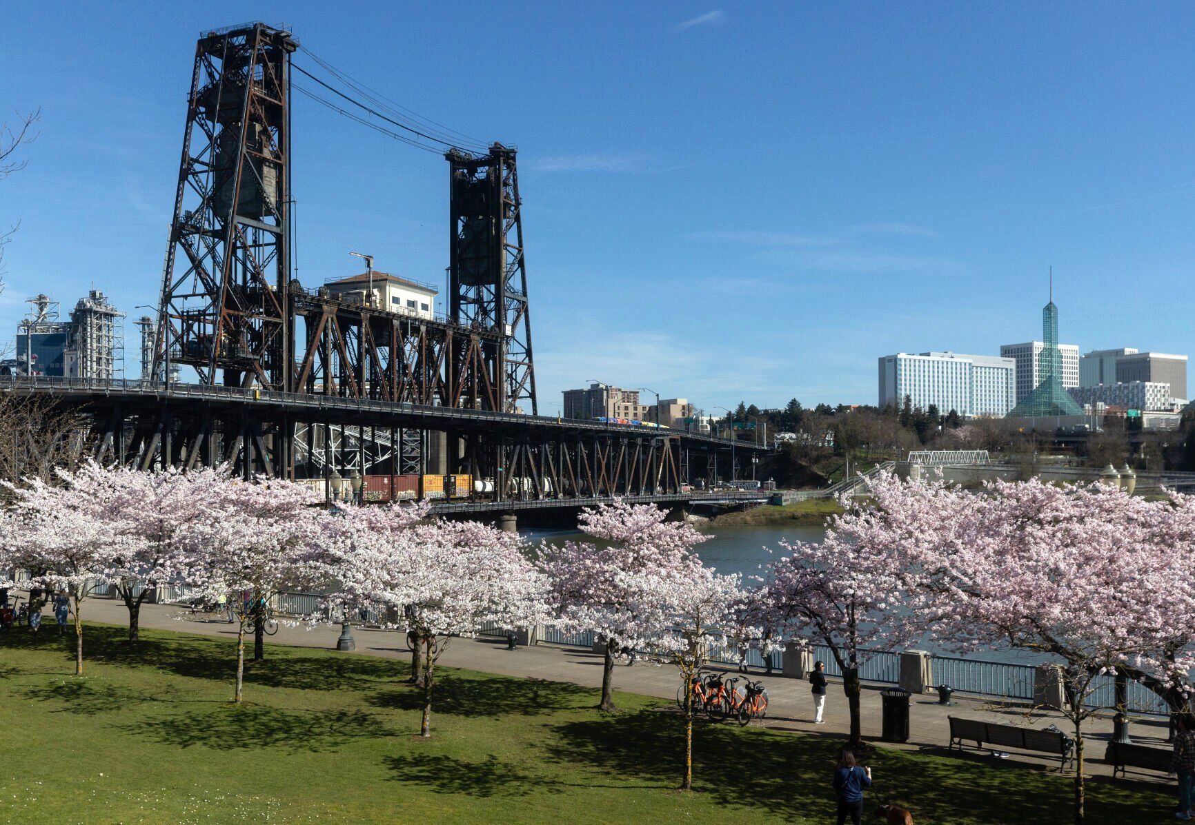Fleet Week brings long, frequent bridge lifts in Portland | The ...