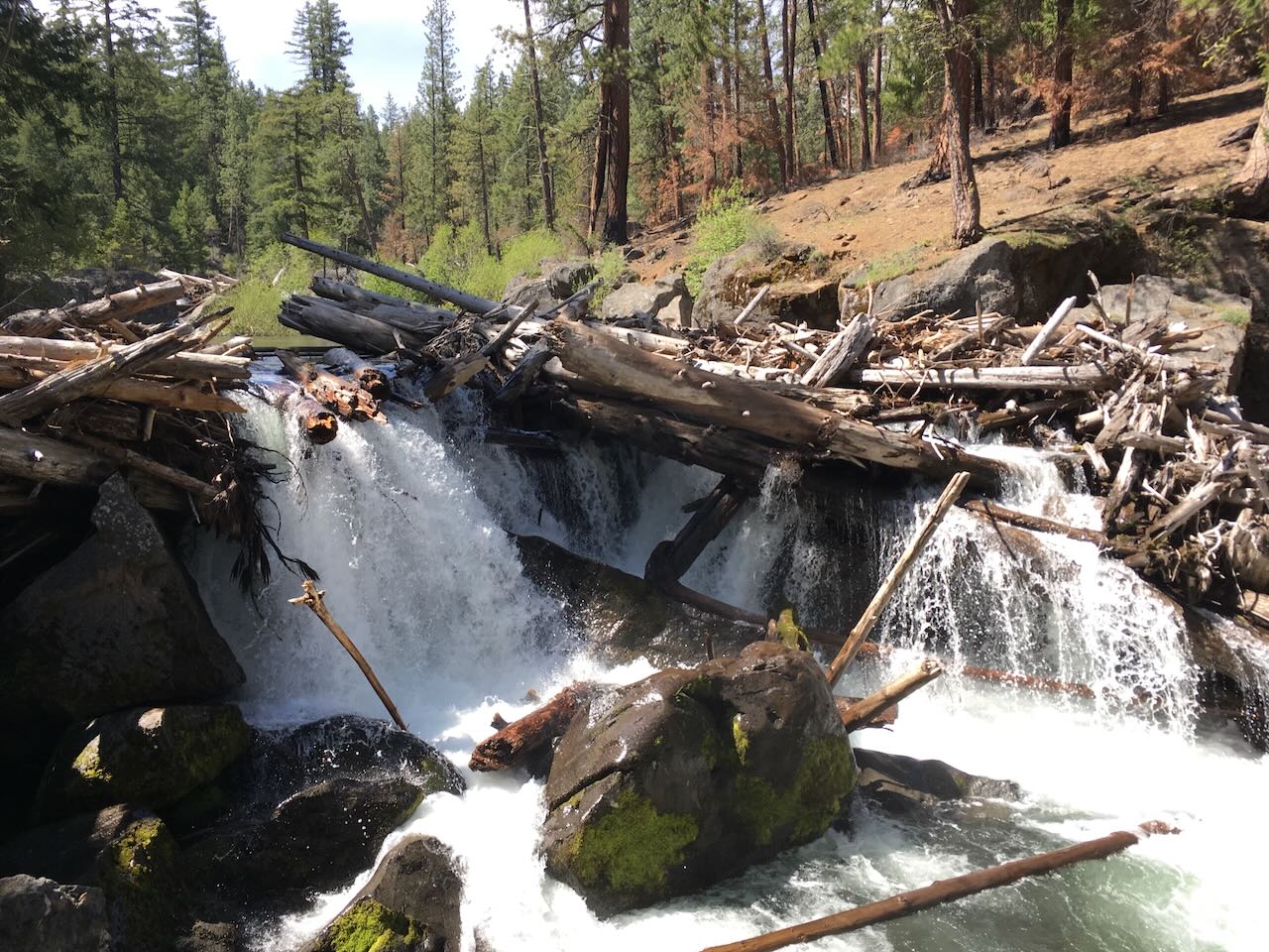 Oregon bill would speed up process to rename locations with offensive ...