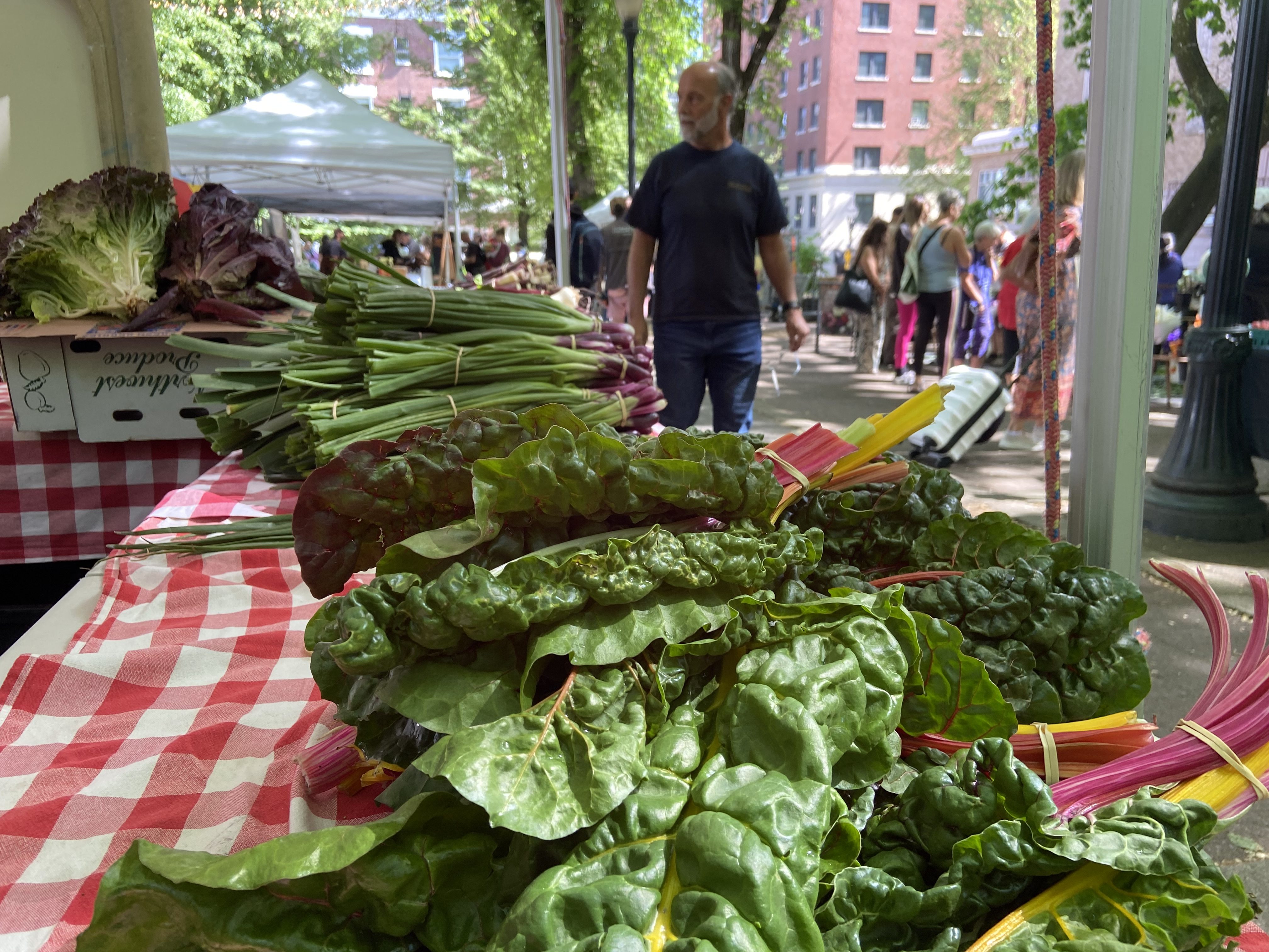 Fan-fave farmers market blooms again in downtown Portland | The ...