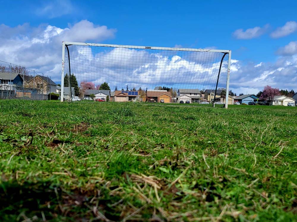 OPINION: Hillsboro Hops dilemma is not just about the money | The ...